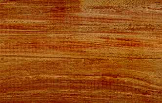 Cocuswood